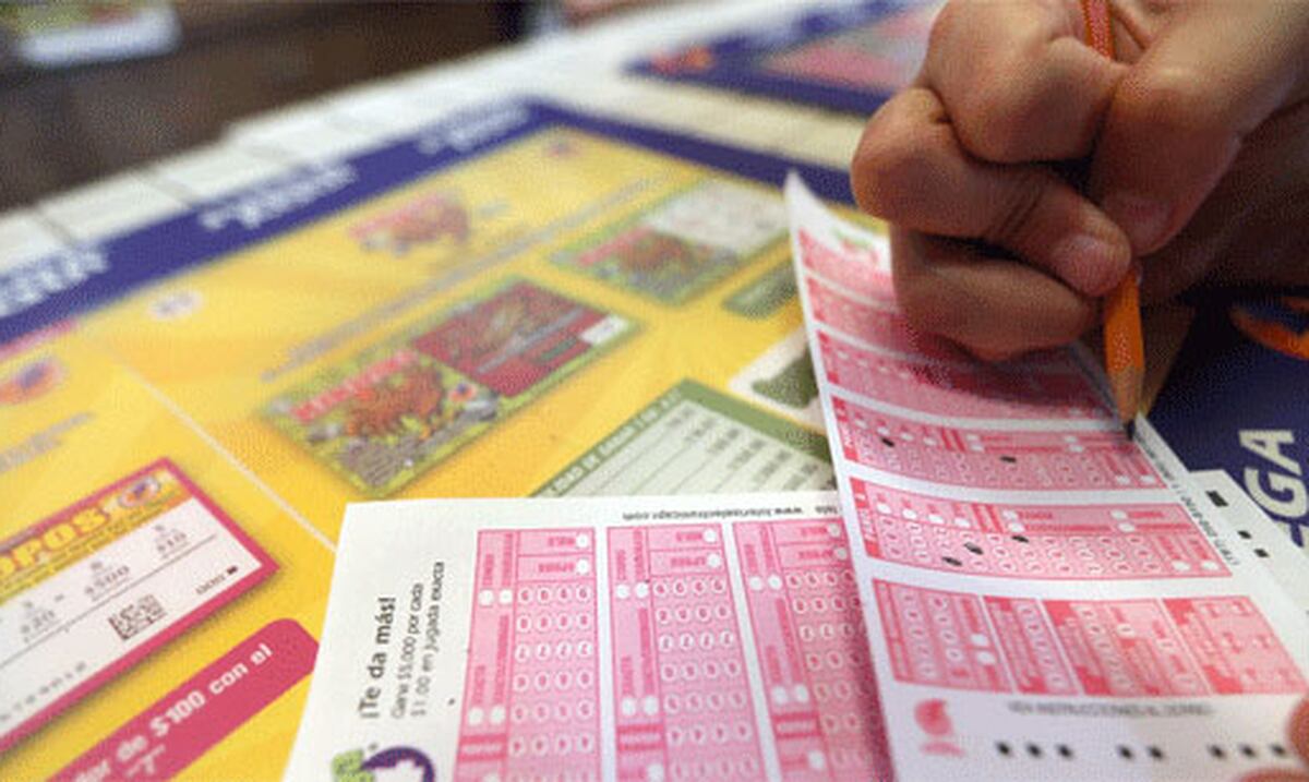 Se llevan los millones de la Loto - Primera Hora