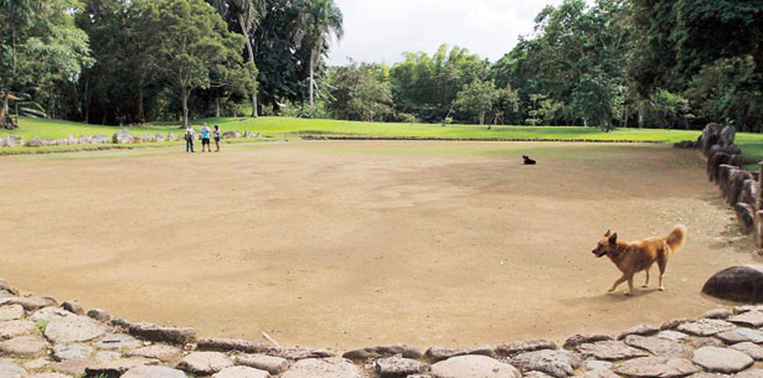 Cien años de yacimiento arqueológico de Caguana - Primera Hora