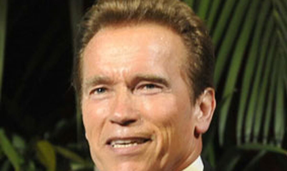 Arnold Schwarzenegger regresará a la actuación con "Last Stand ...