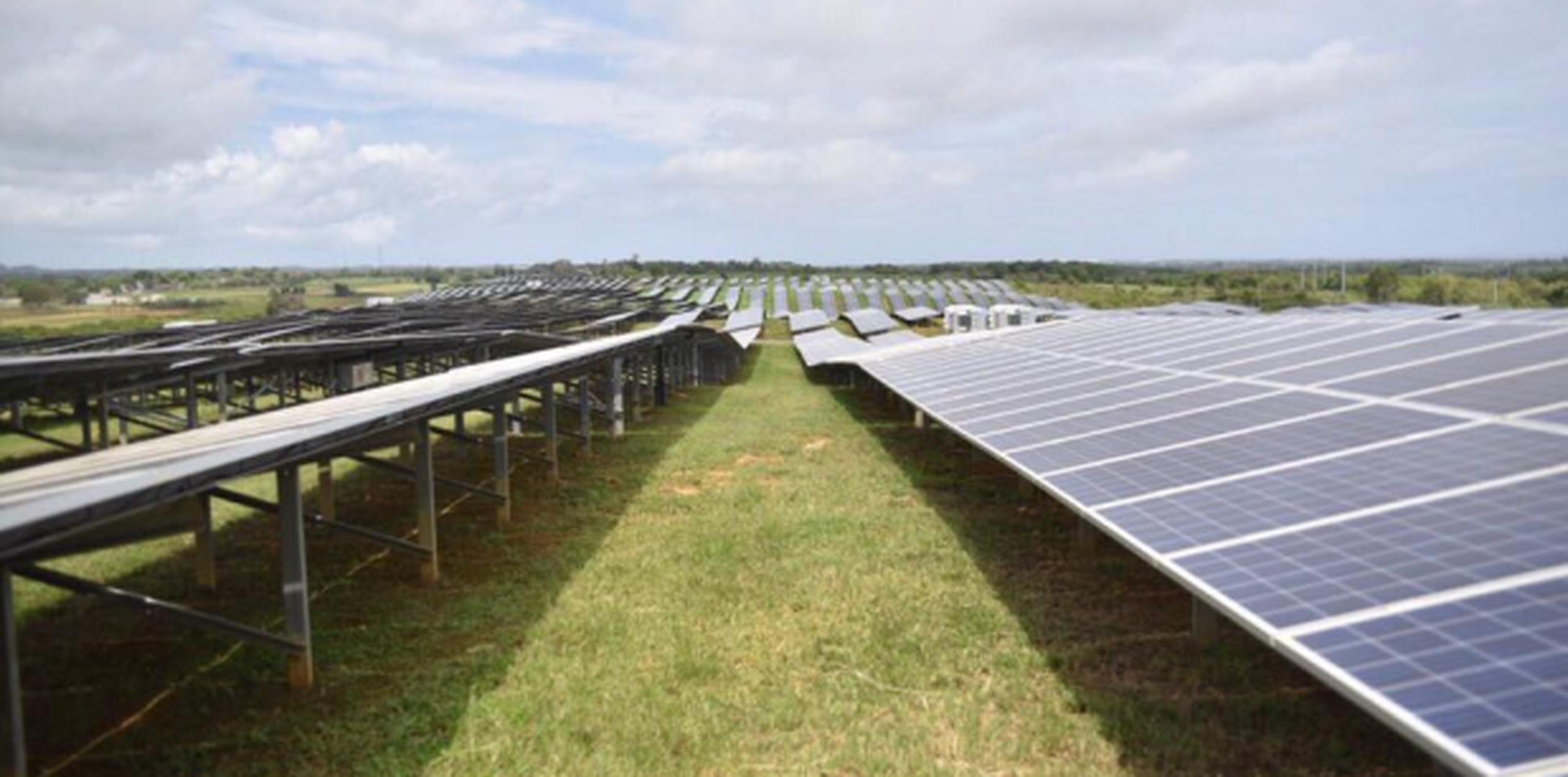 Inauguran en Isabela la planta solar operacional más grande del Caribe ...