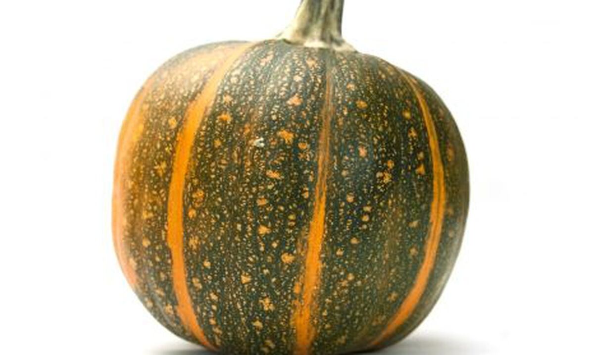 La calabaza va por la casa - Primera Hora