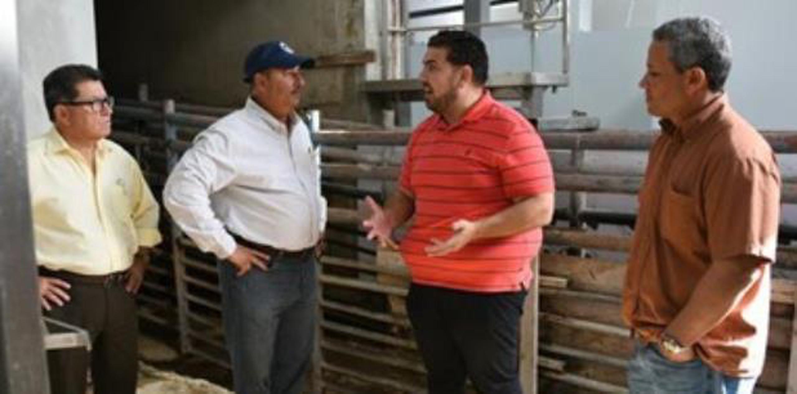 Puerto Rico se insertará en el mercado de carne kosher - Primera Hora