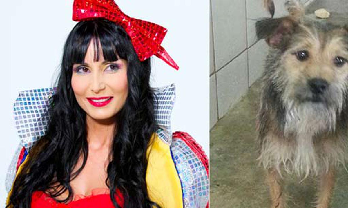 Lady Mágica adoptó al perrito Tosky - Primera Hora