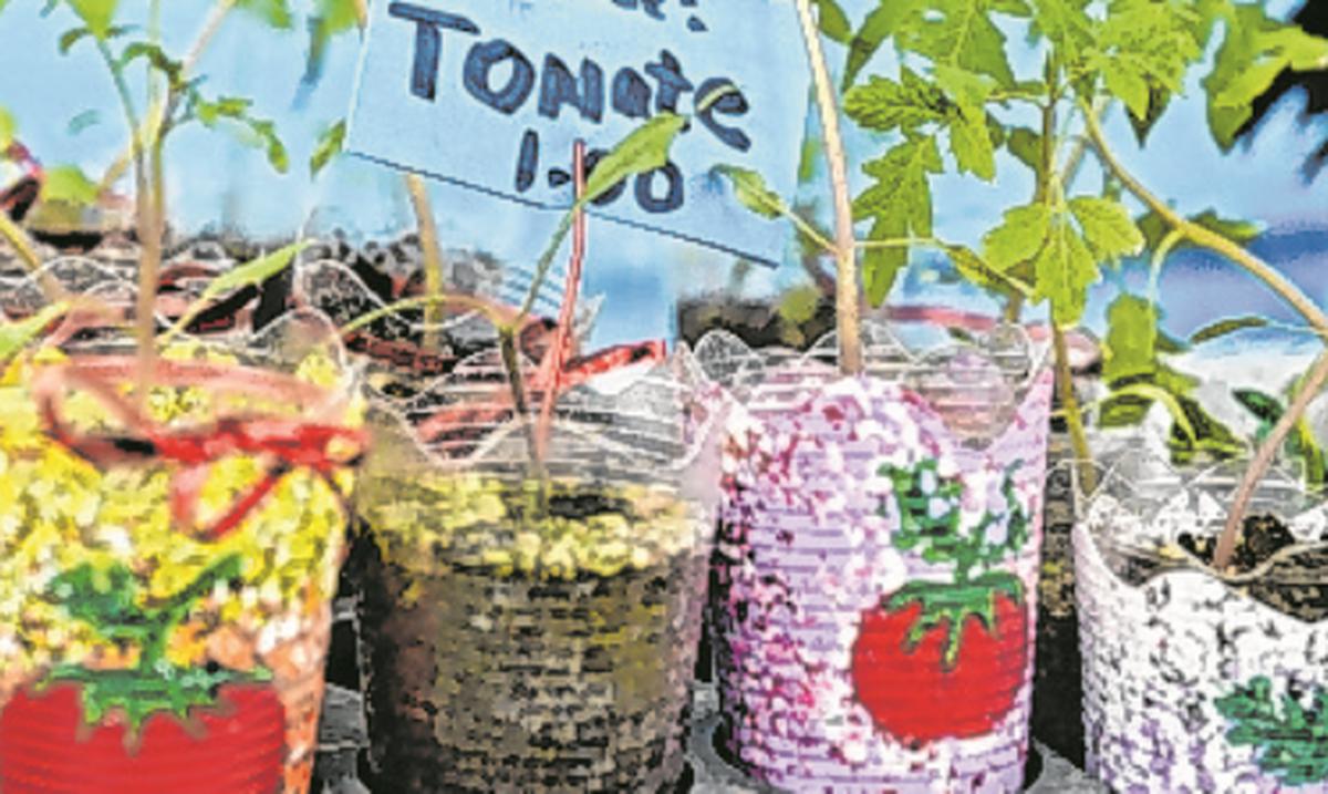 Goza de cachete este fin de semana - Primera Hora