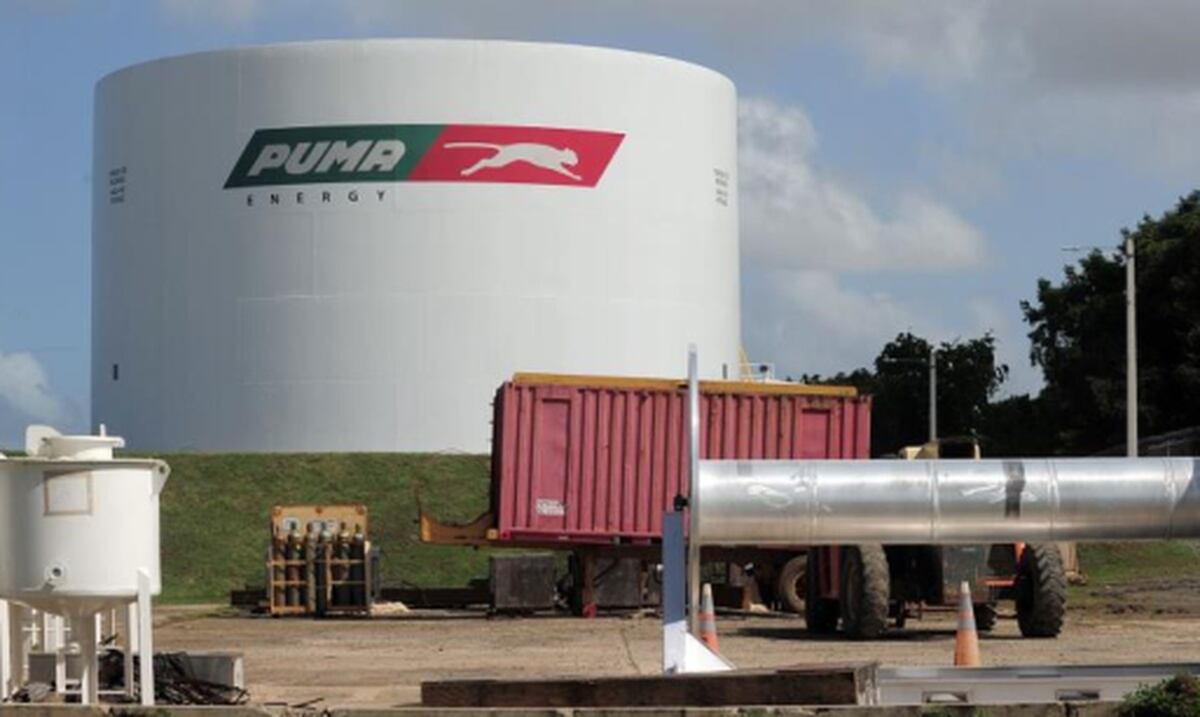 Distribuidores de Gas piden declarar nulo permiso otorgado a Puma ...