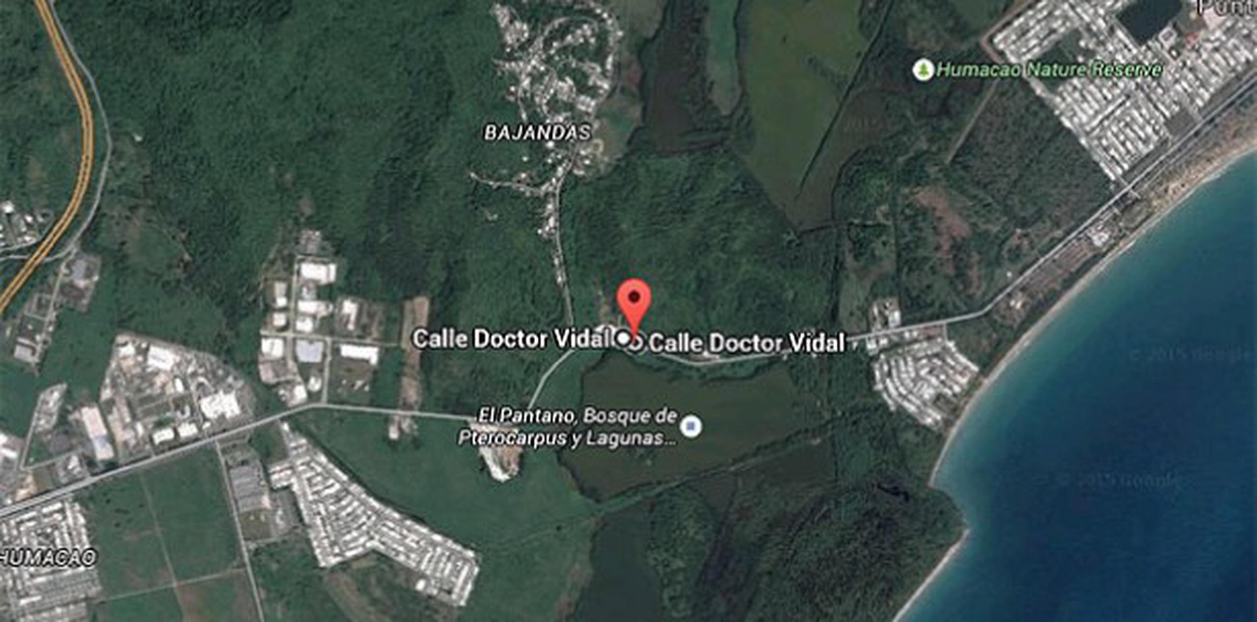 Un pasadía en… la Reserva Natural de Humacao - Primera Hora