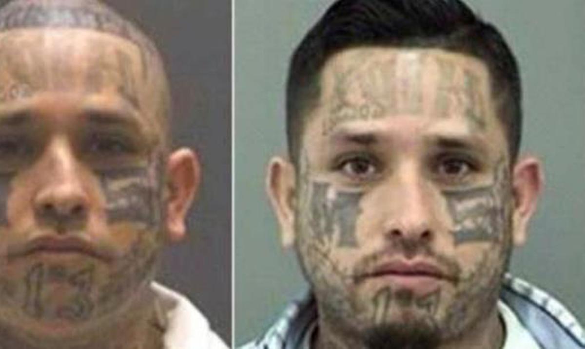 Arrestan en Aguada a “Scrappy”: uno de los 10 más buscados de Texas ...