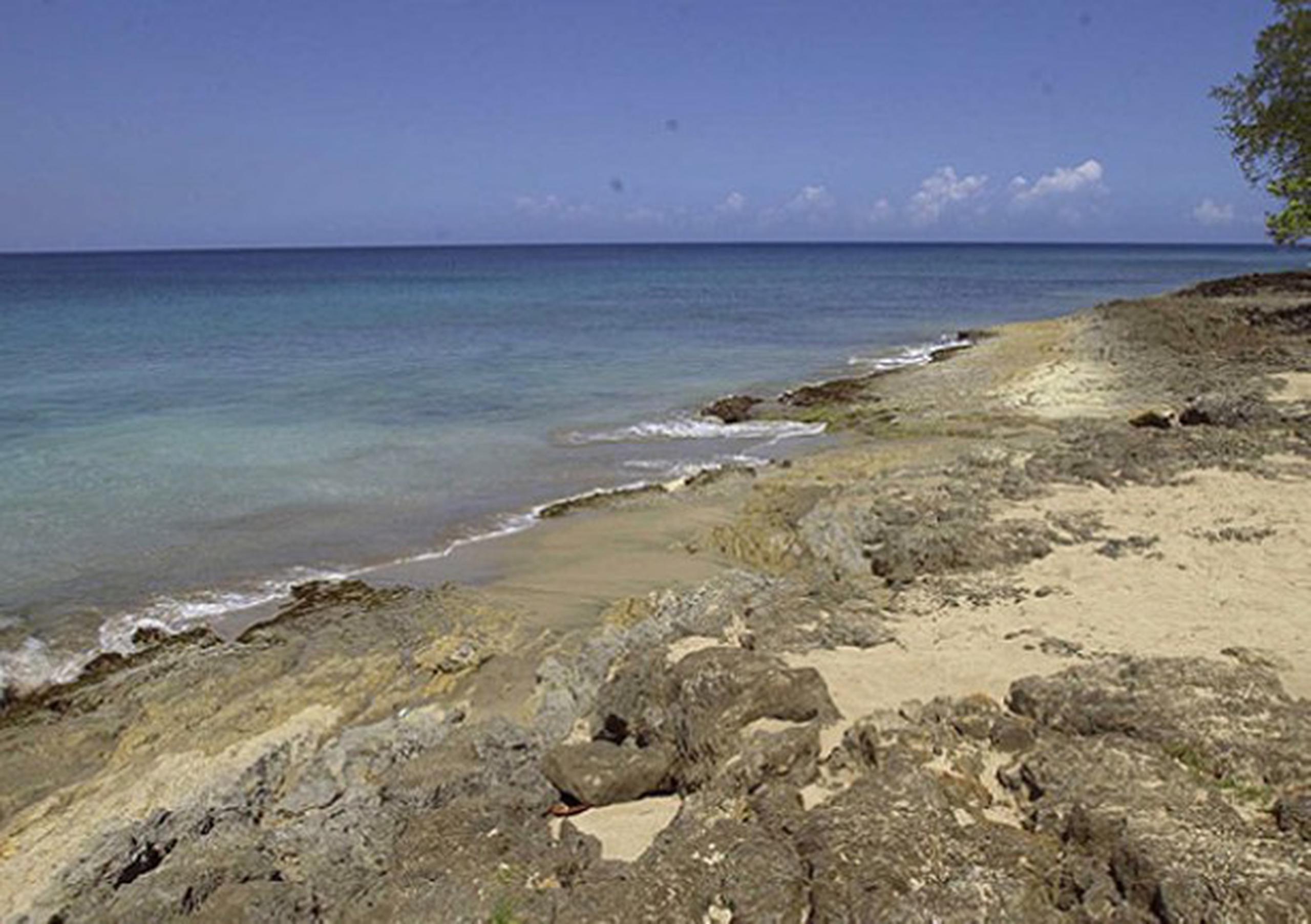 Las 15 mejores playas para hacer snorkeling en Puerto Rico - Primera Hora