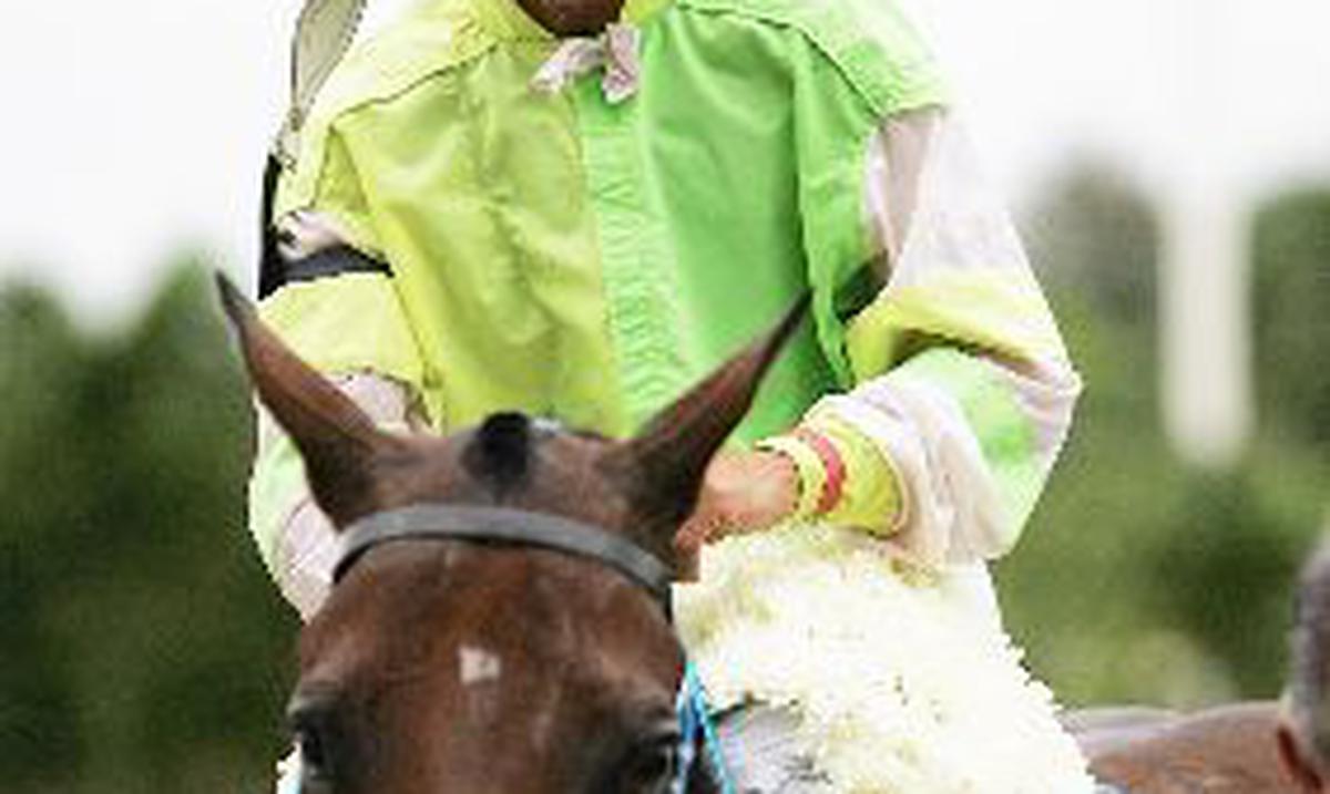 Meissa Star es nuestra orejita en la quinta carrera - Primera Hora