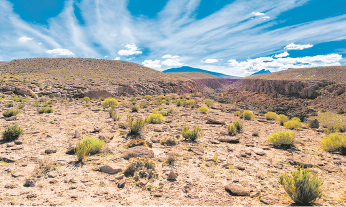 Llevan lluvia al lugar más seco del planeta - Primera Hora
