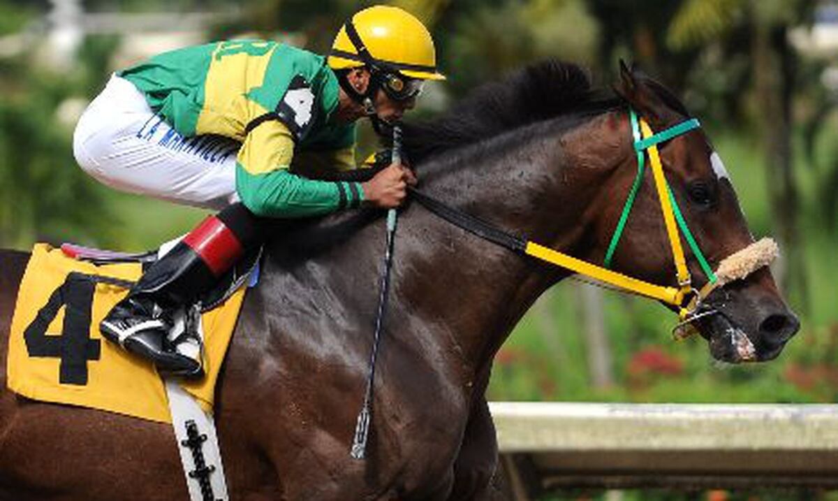 El Suri impuso su rapidez - Primera Hora