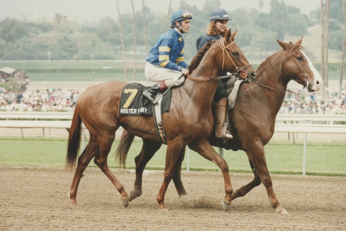 Mister Frisky y su historia de hace 30 años - Primera Hora