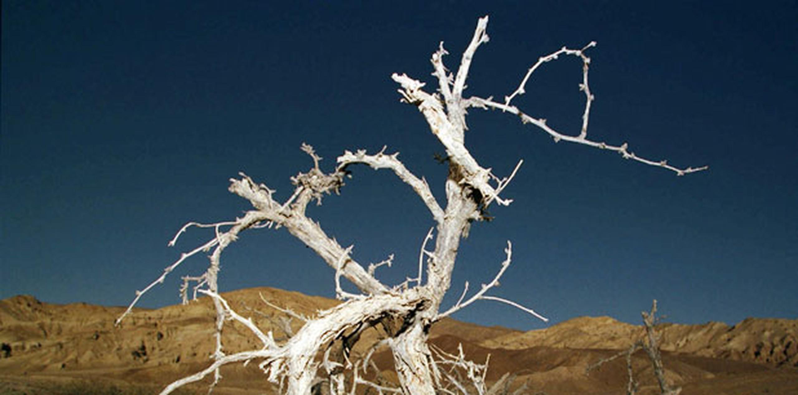 Los lugares más secos del Planeta - Primera Hora