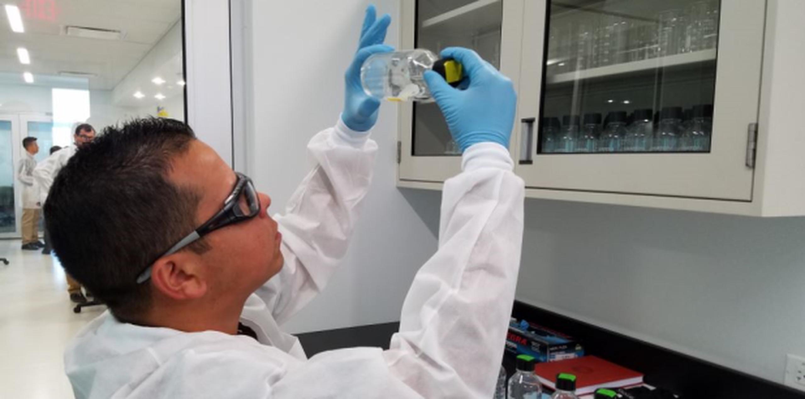 Mosquito del dengue sigue entre nosotros - Primera Hora