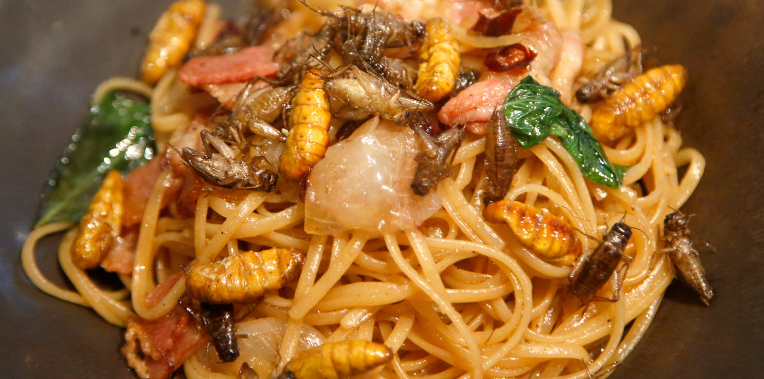 Los insectos se vuelven comida gourmet en Tailandia - Primera Hora