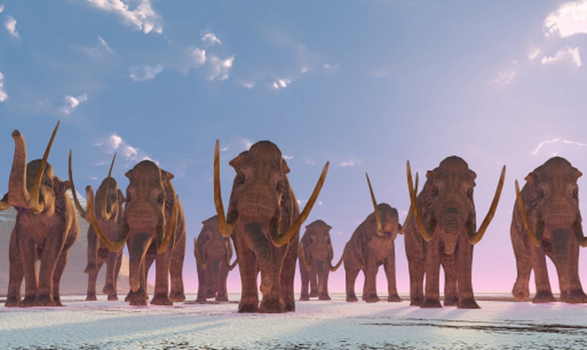 Descubren 117 huellas de mamuts en Oregon - Primera Hora