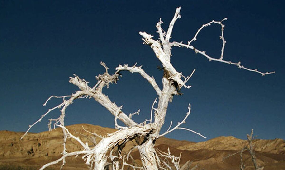 Los lugares más secos del Planeta - Primera Hora