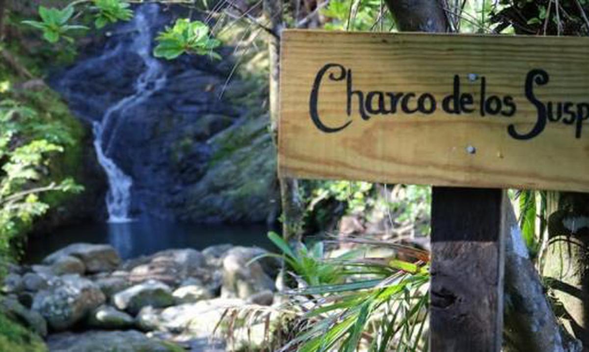 5 ríos o charcas que puedes visitar este fin de semana - Primera Hora