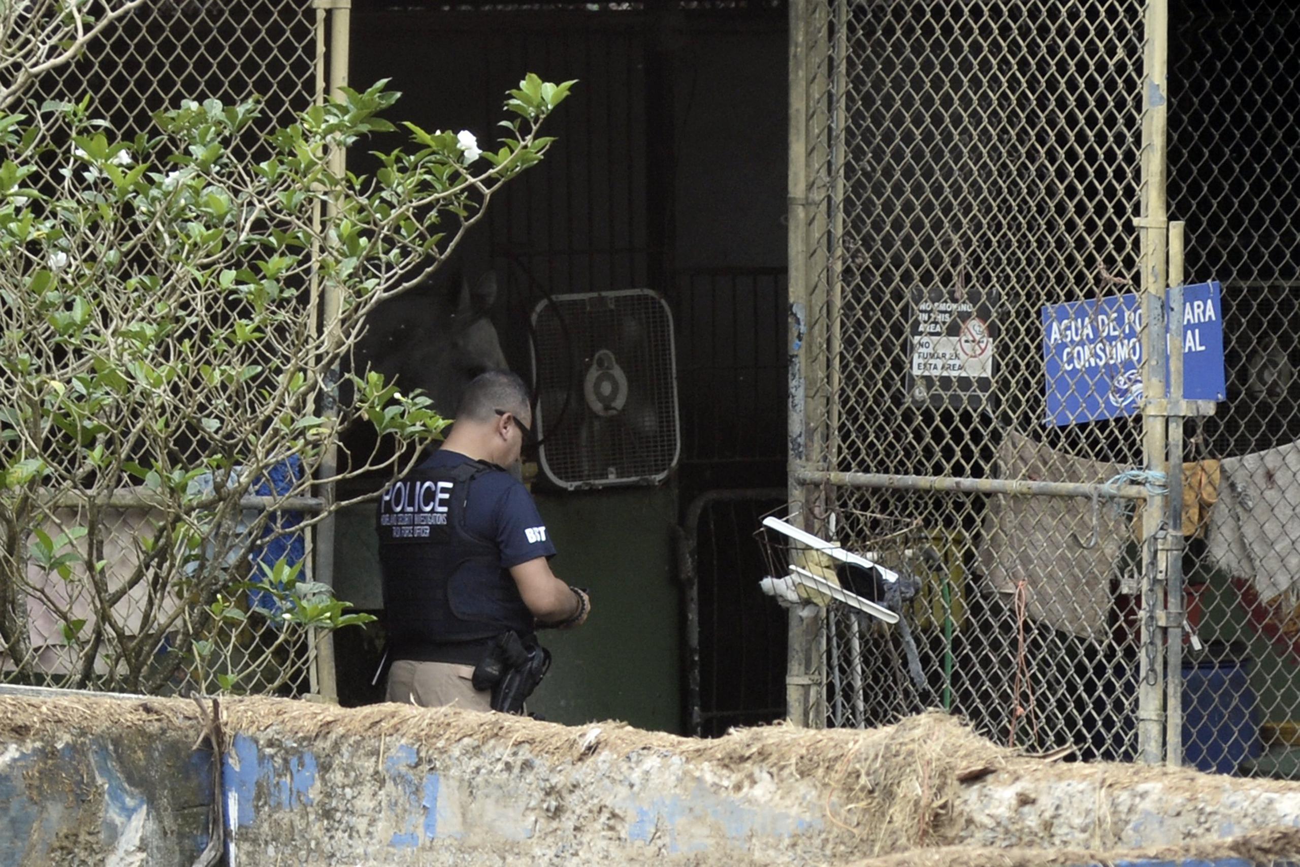 Realizan operativo en el Hipódromo Camarero - Primera Hora