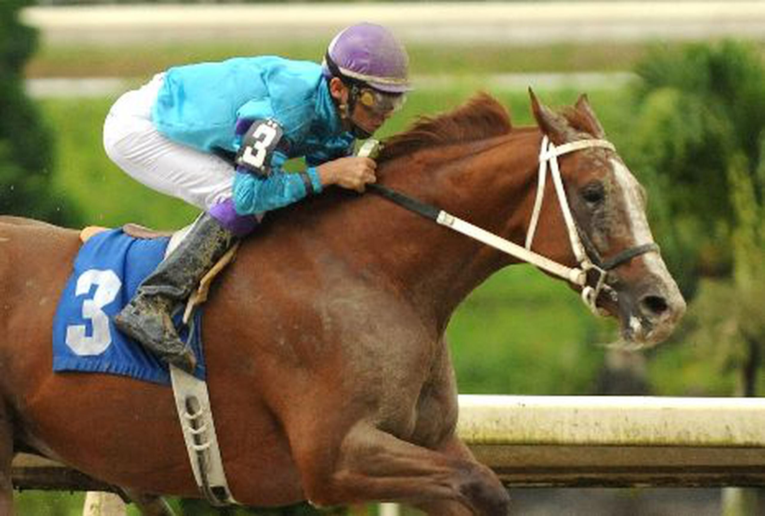 Don Paco arrasó en los Camarero - Primera Hora