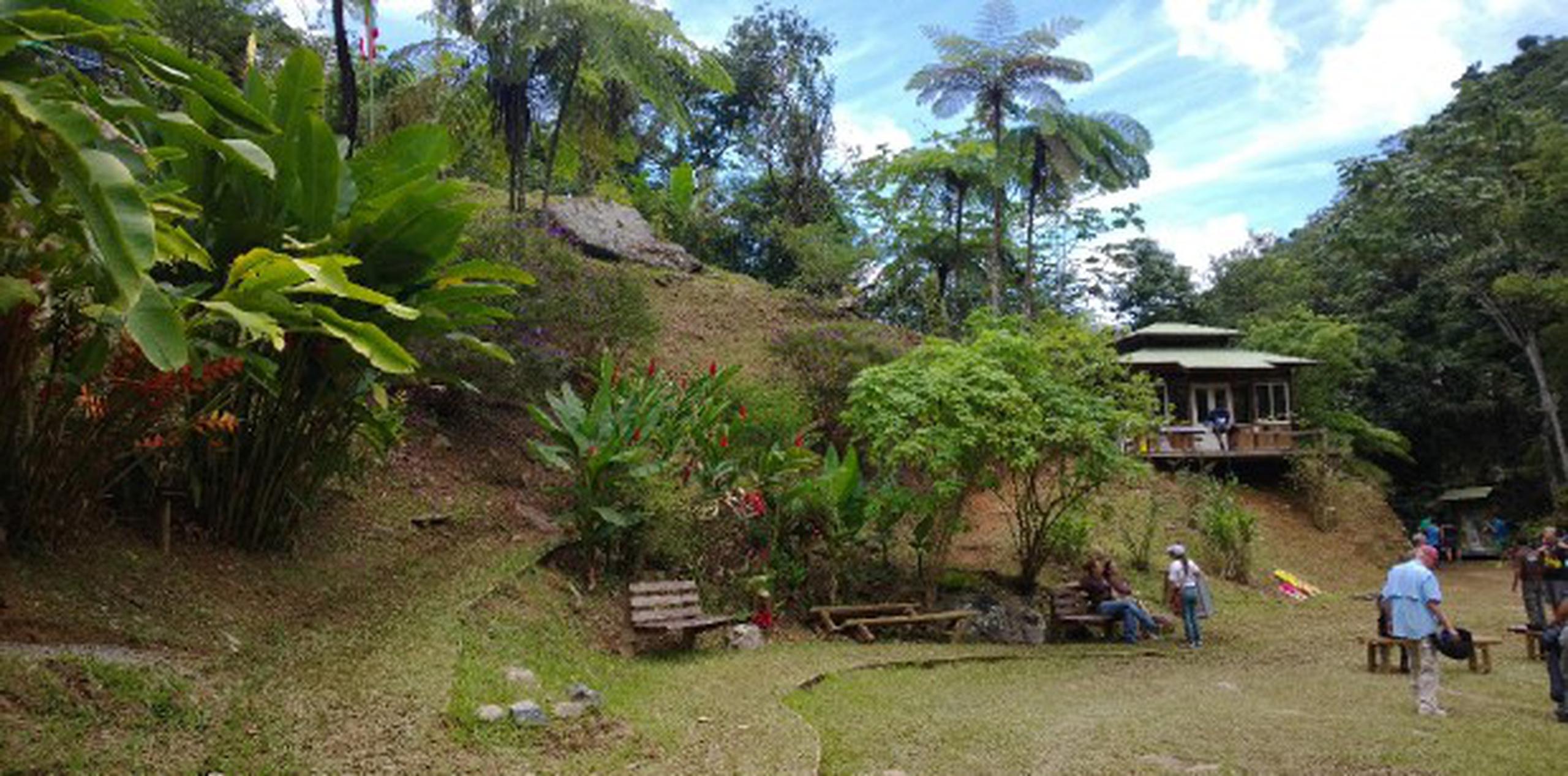 Una escuela en el bosque -Vídeo - Opinión - Primera Hora