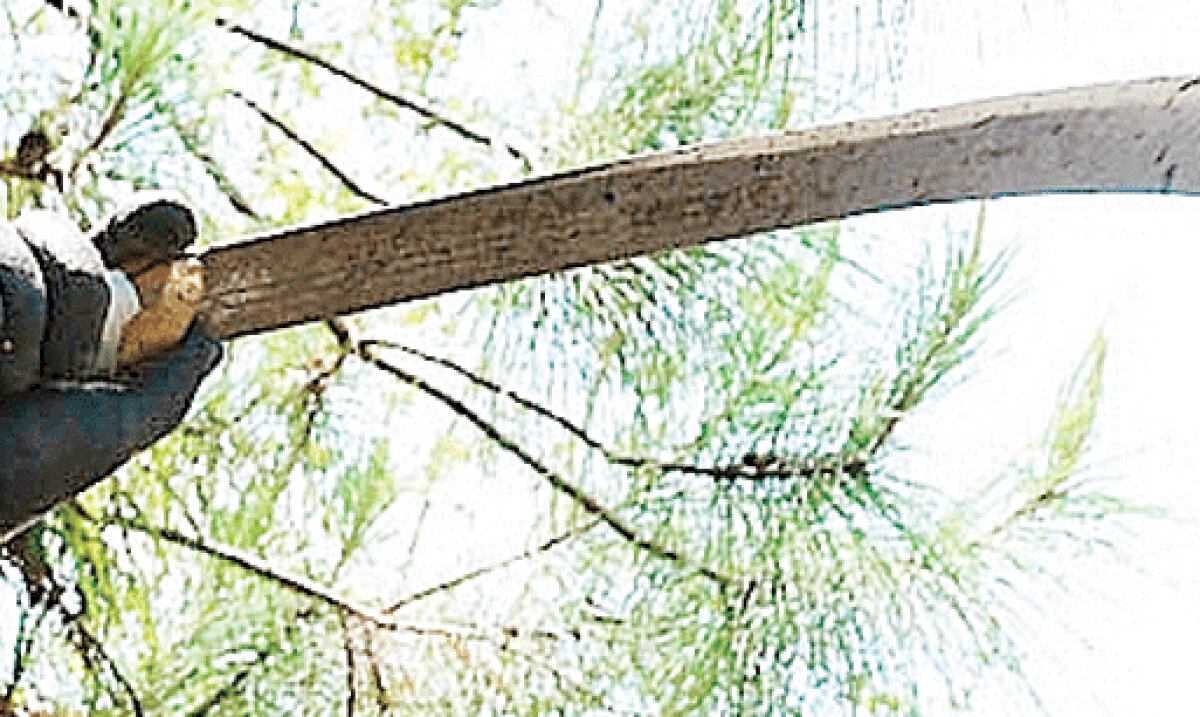 Hombre es herido a machetazos frente a negocio en Guaynabo - Primera Hora