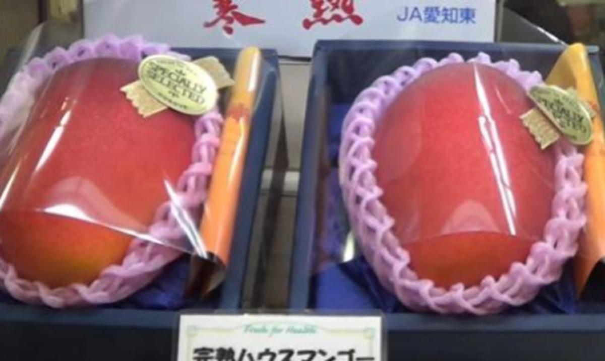 El mangó más caro del mundo se vende en Japón - Primera Hora