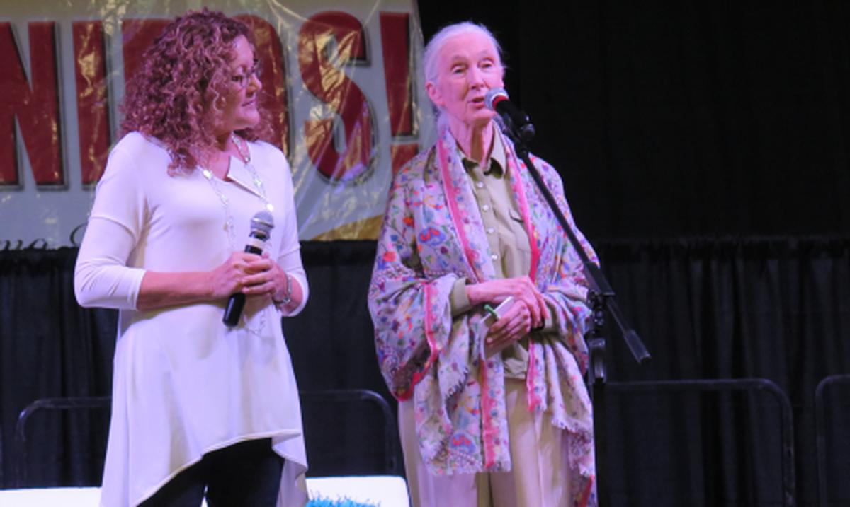 Visita de Jane Goodall a la Isla atrae a sobre 2,000 personas - Primera ...