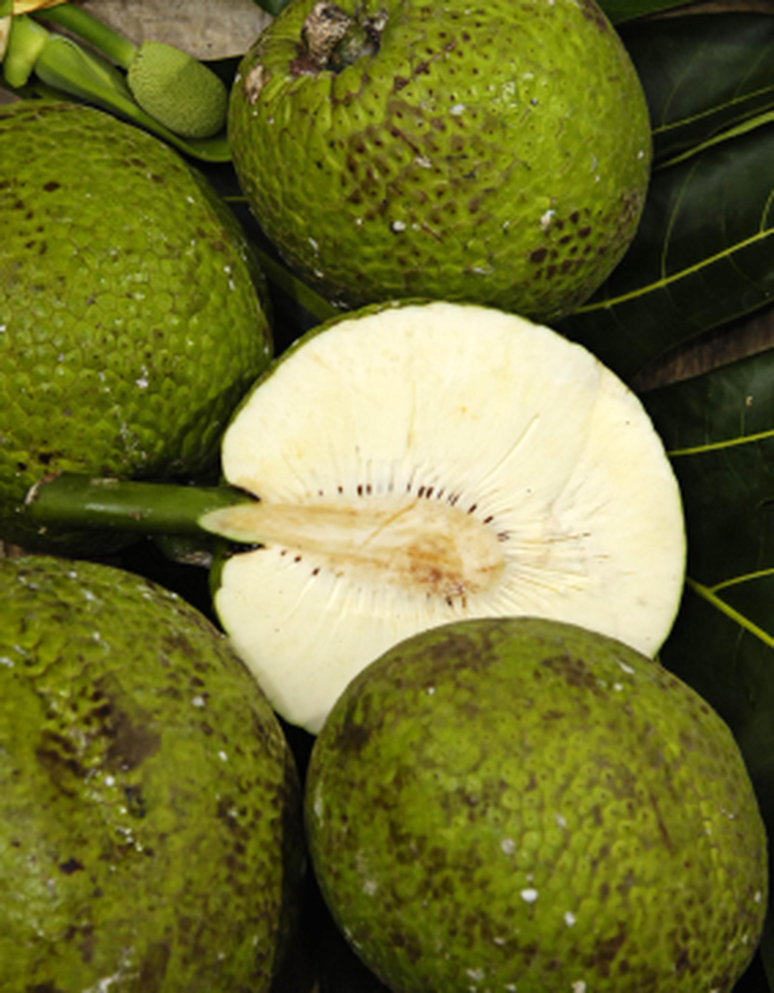 Tras las rejas por robar panapén en Bayamón - Primera Hora