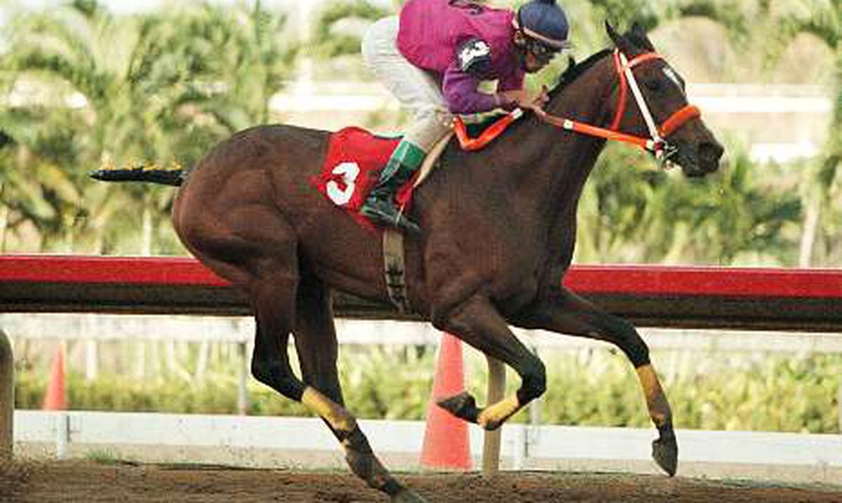 A romper la macacoa en el Clásico del Caribe - Primera Hora