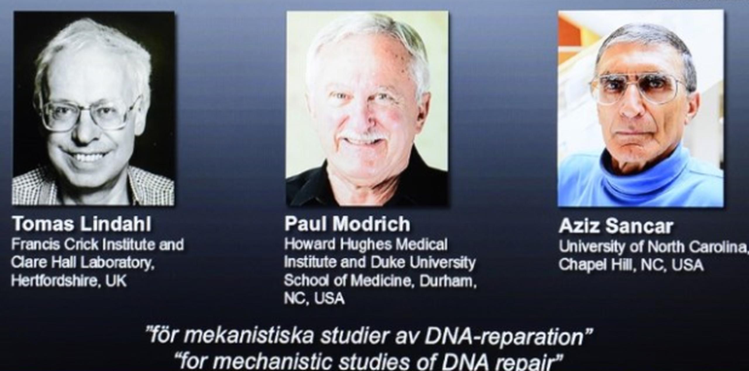 Ganan el Nobel por reconstruir el ADN - Primera Hora