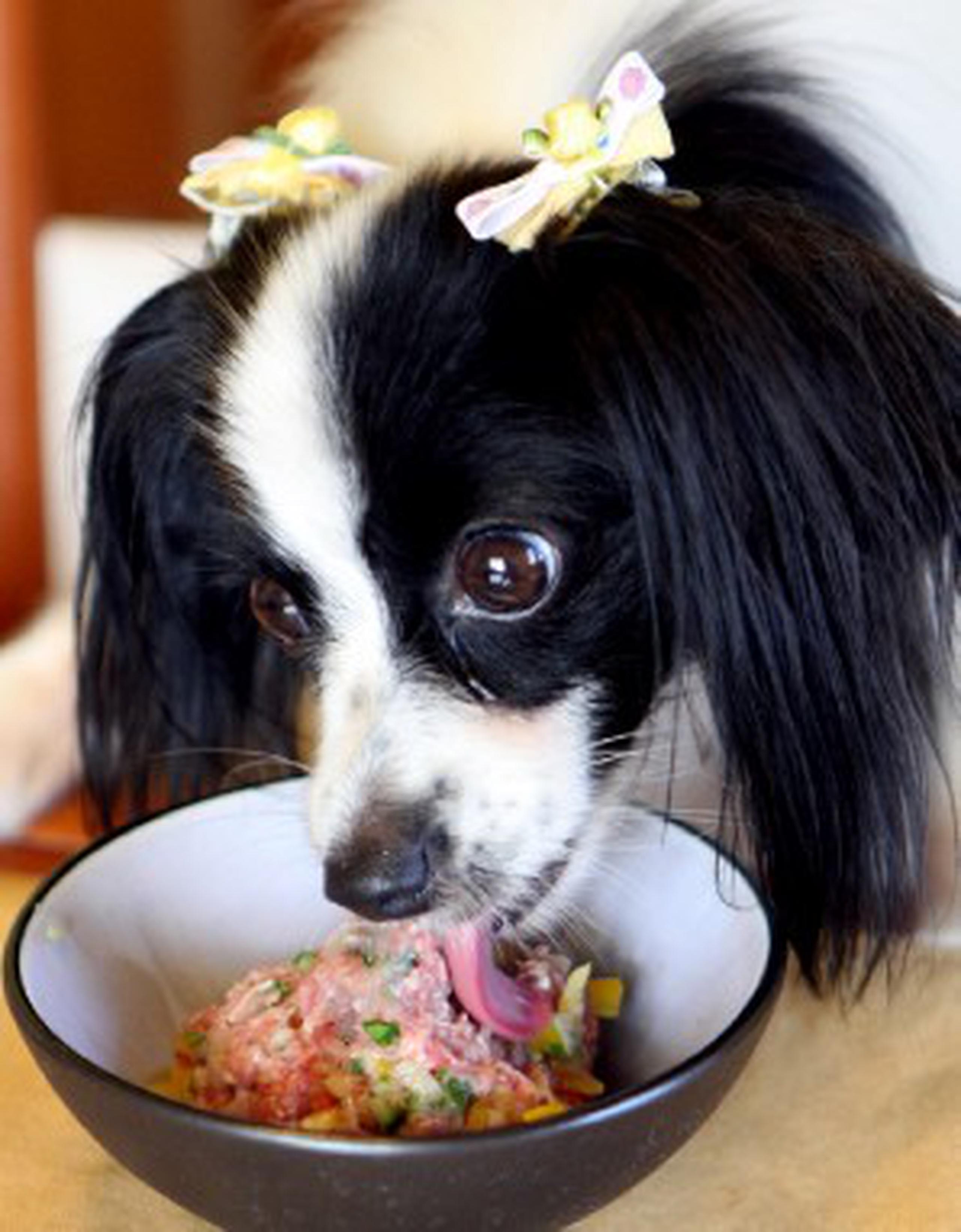 Los Perros Pueden Comer Papas Al Horno