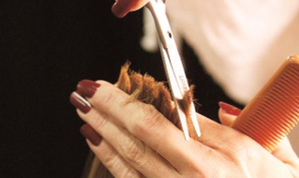 Corta tu pollina en casa - Primera Hora