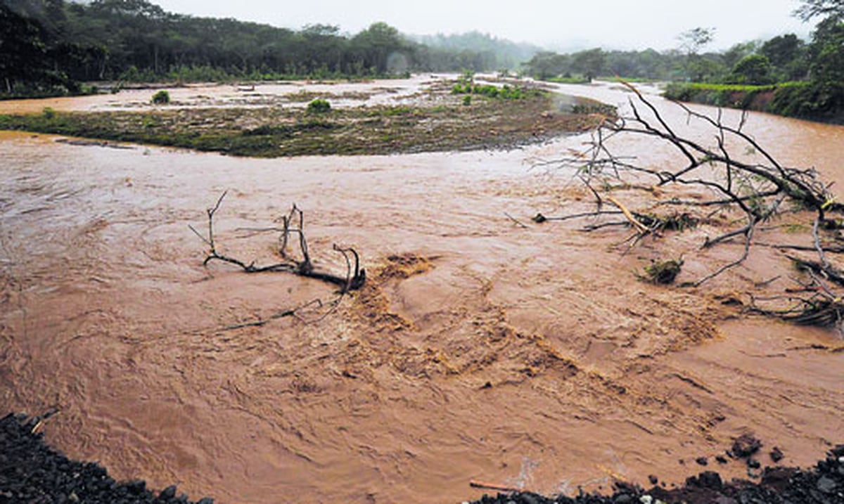 Siete desaparecidos tras desborde de un río en Colombia - Primera Hora