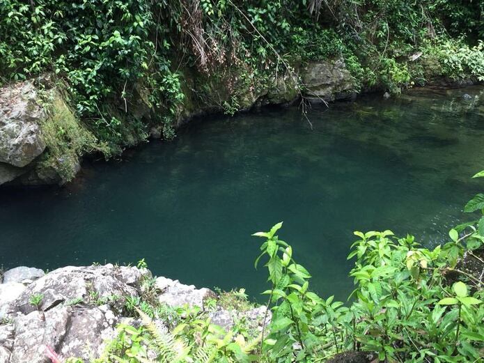 5 ríos o charcas que puedes visitar este fin de semana - Primera Hora