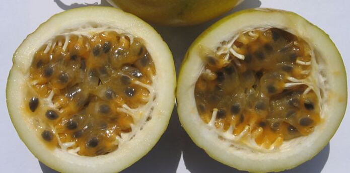 Los otros usos de la parcha - Primera Hora