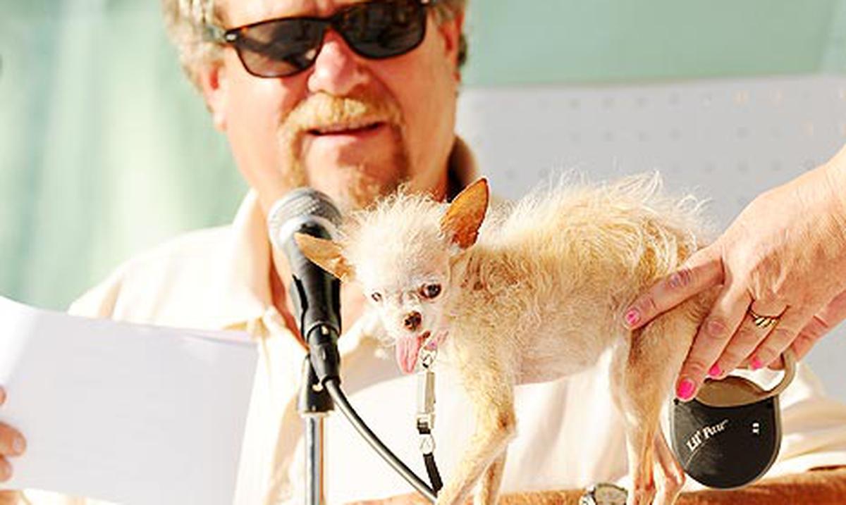 La perrita más fea del mundo es de California - Primera Hora