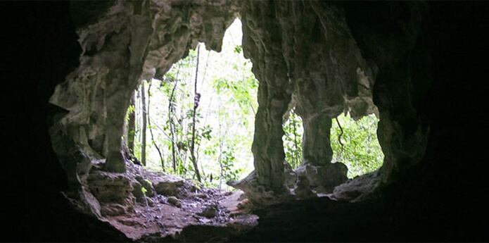 En camino parque de cavernas de Morovis - Primera Hora