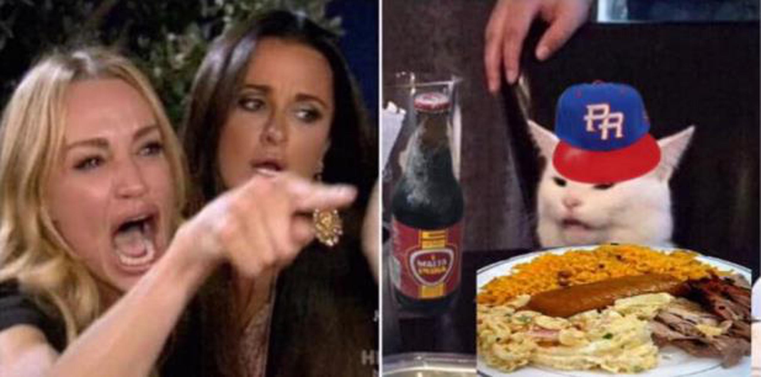 La realidad del famoso gato del meme - Primera Hora