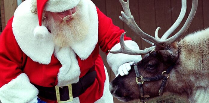 Todo lo que siempre quiso saber sobre los renos - Primera Hora