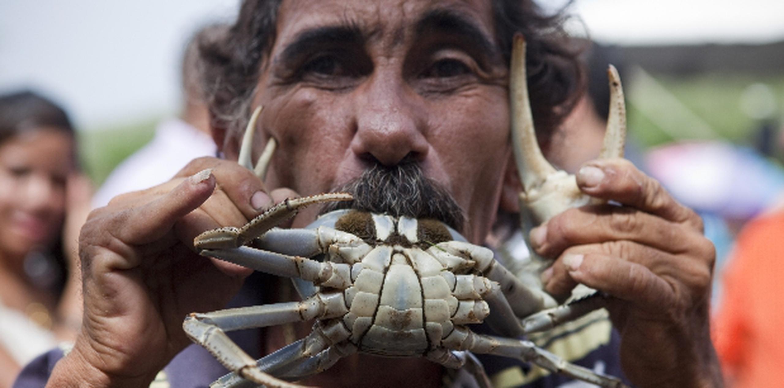 Reina el juey en Guánica-FOTOS - Primera Hora