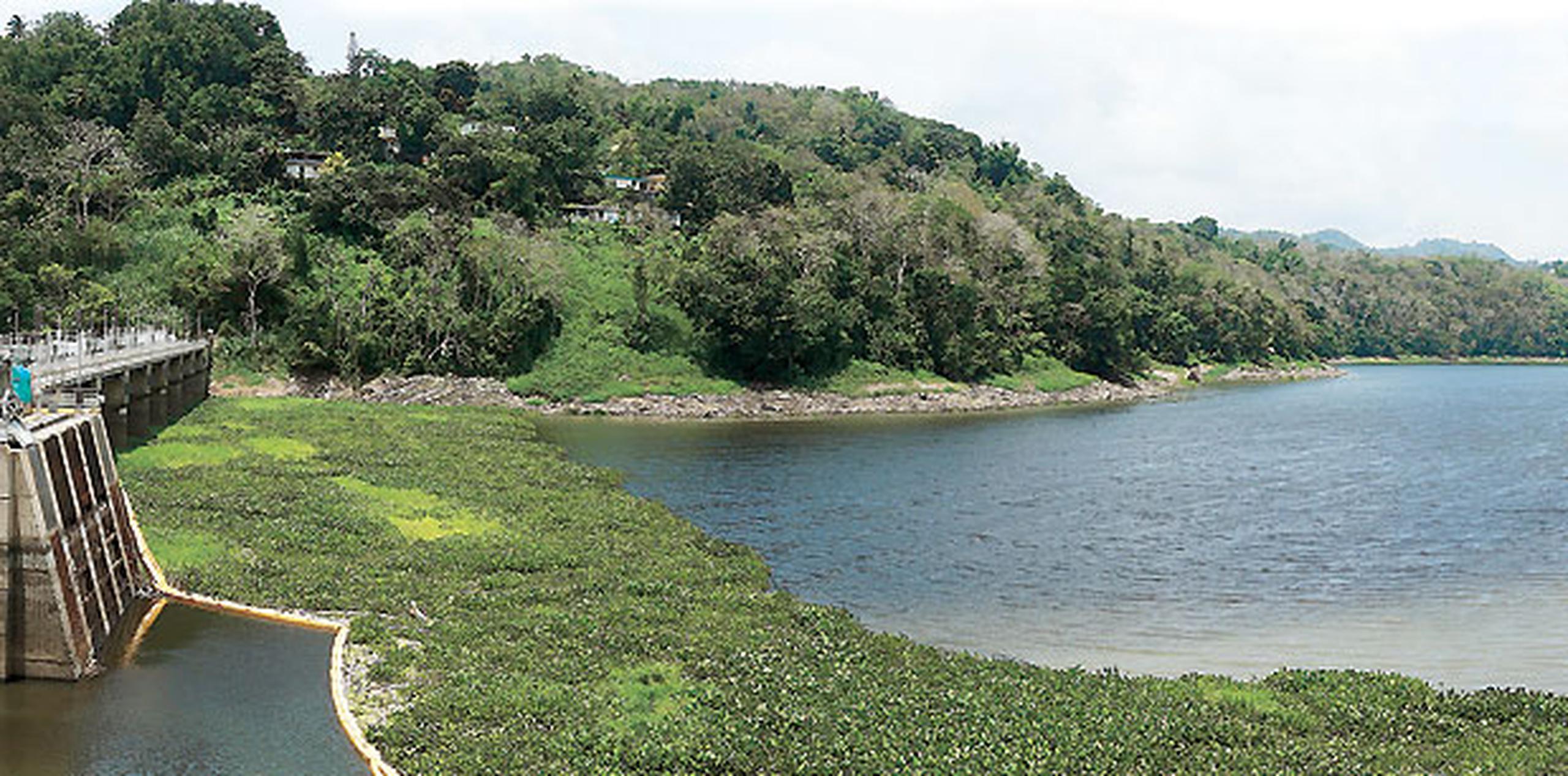 Reportan nuevas bajas en los embalses Carraízo y La Plata - Primera Hora