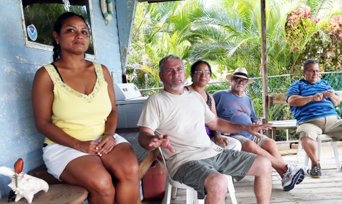 Temen a los perros realengos en Las Picúas - Primera Hora