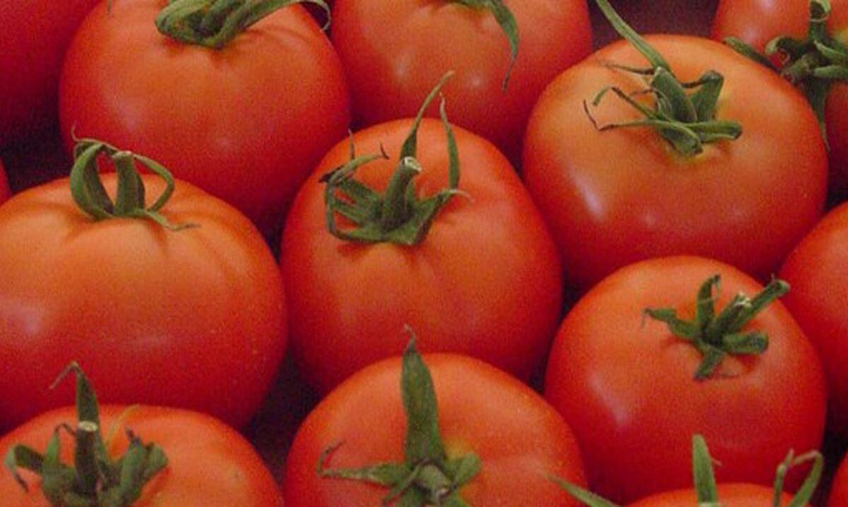 Los otros usos del tomate - Primera Hora