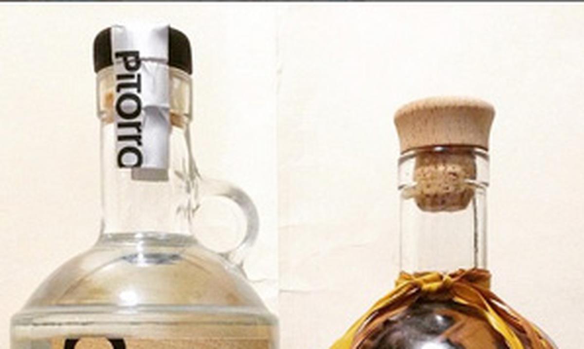 El pitorro conquista paladares desde el sur del Bronx - Primera Hora