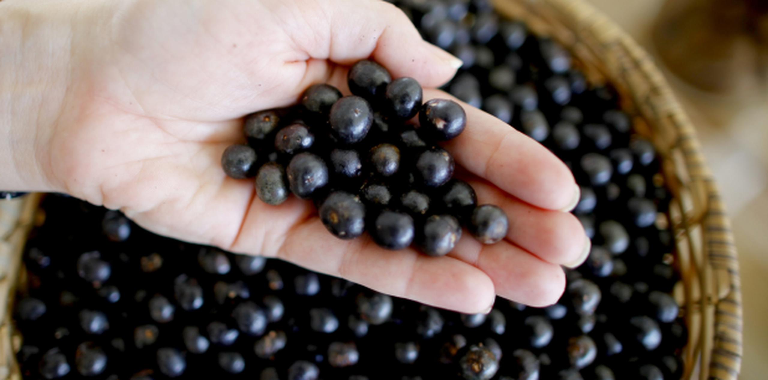 Açai: una fruta con infinitas posibilidades - Primera Hora