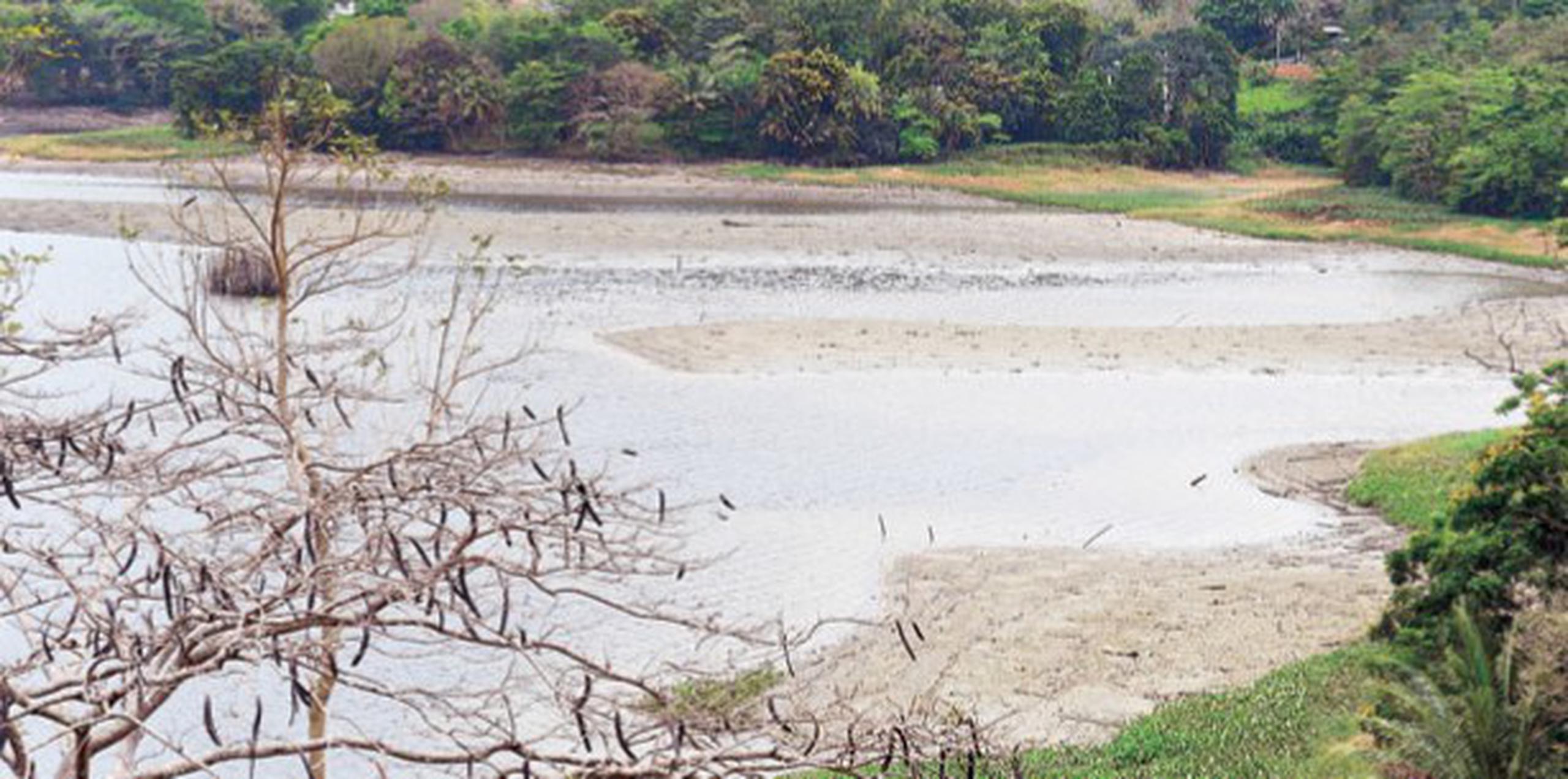 Todo sobre el lago Carraízo y la sequía - Primera Hora