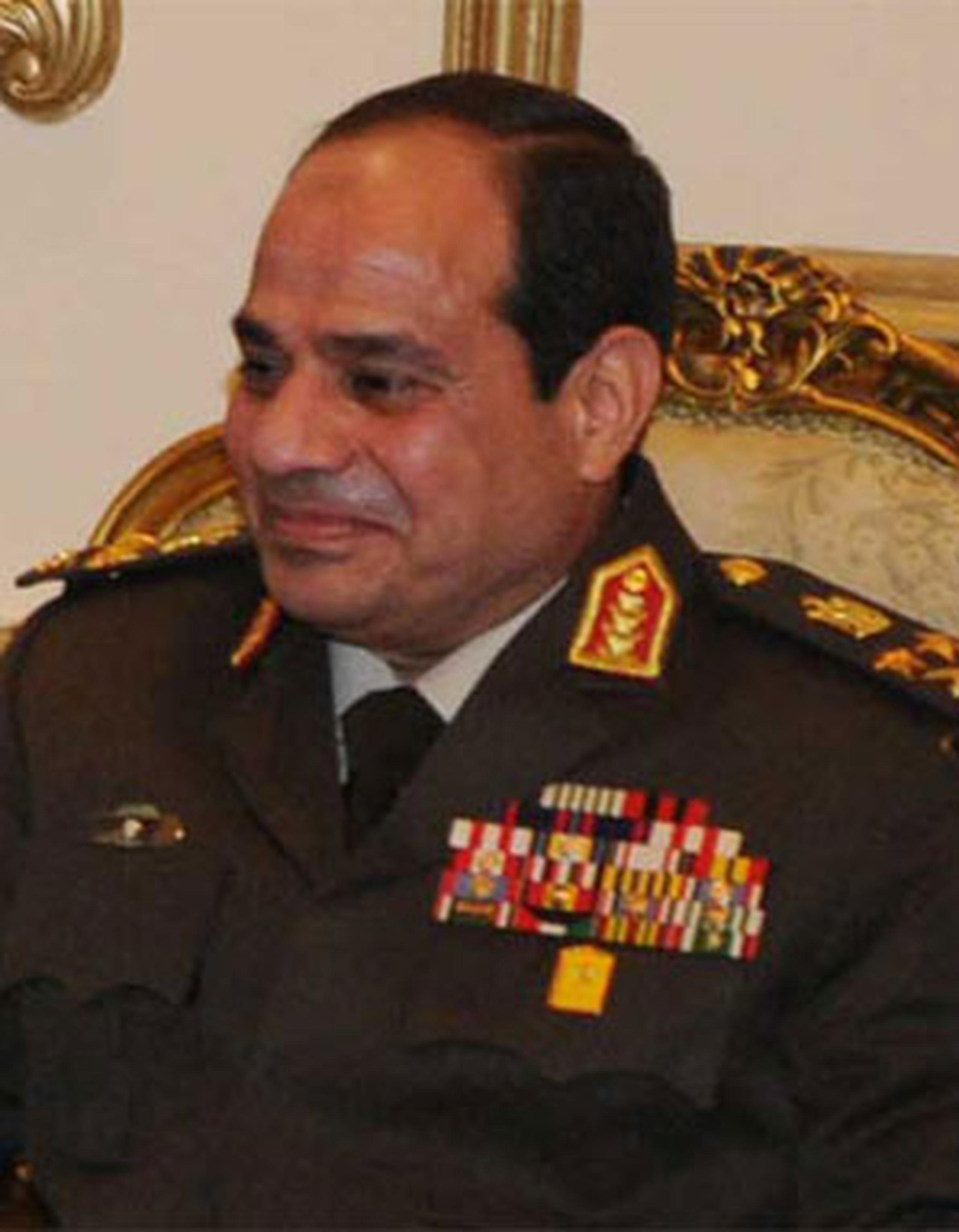 Detienen a egipcio que nombró a su burro igual al jefe del ejército ...