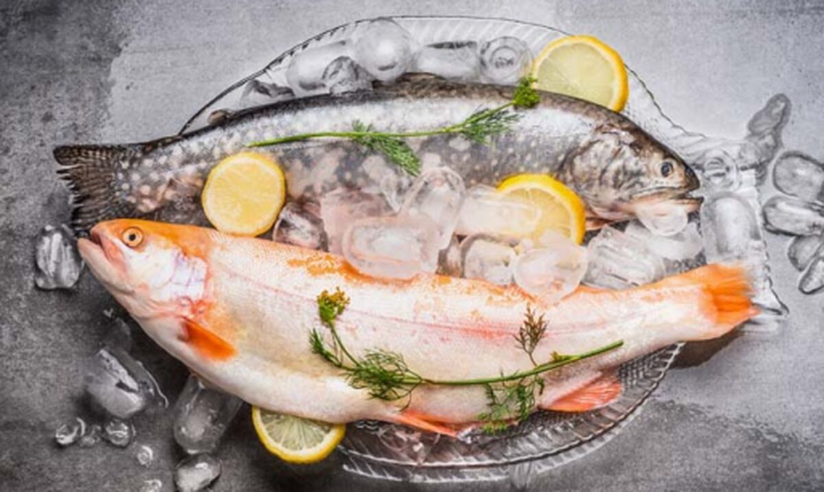 Claves para seleccionar un pescado fresco - Primera Hora