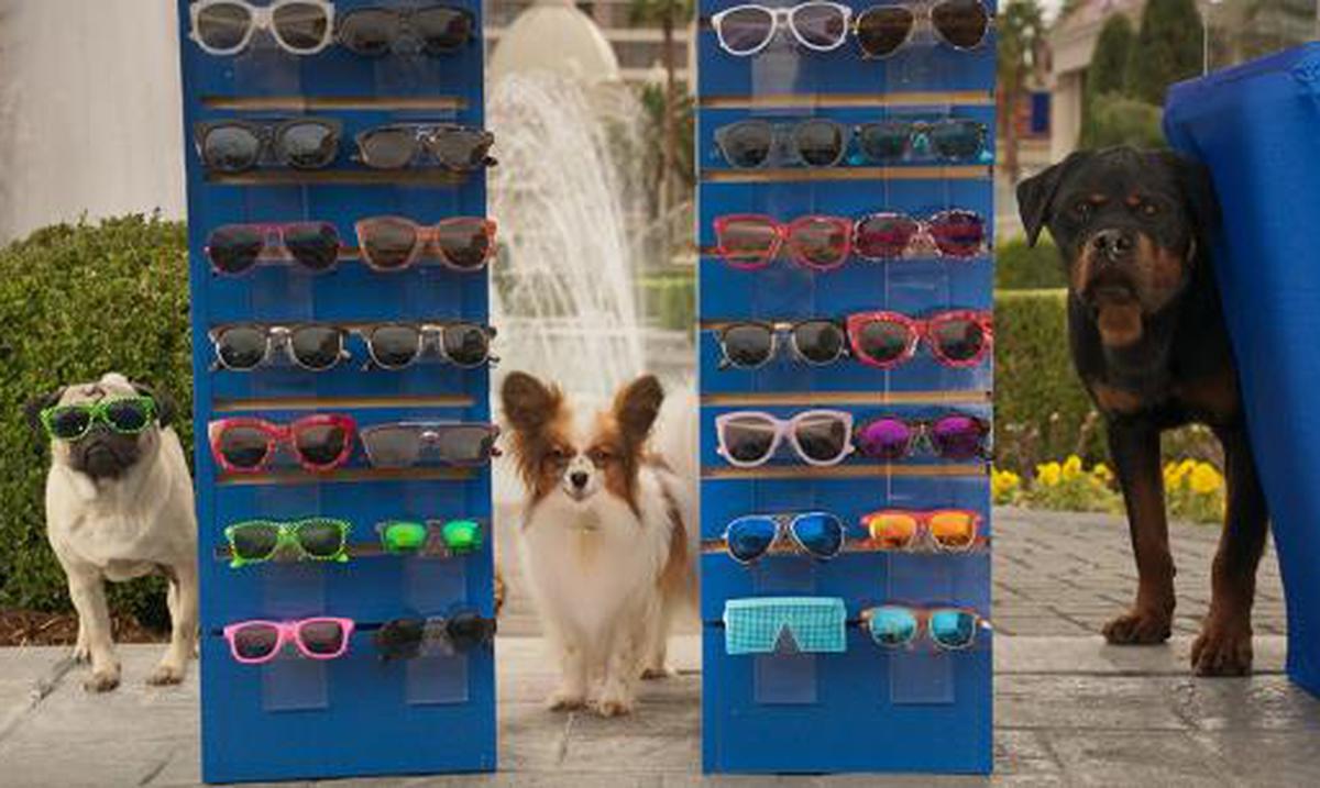 Show Dogs: Cuando los perros hablan - Primera Hora